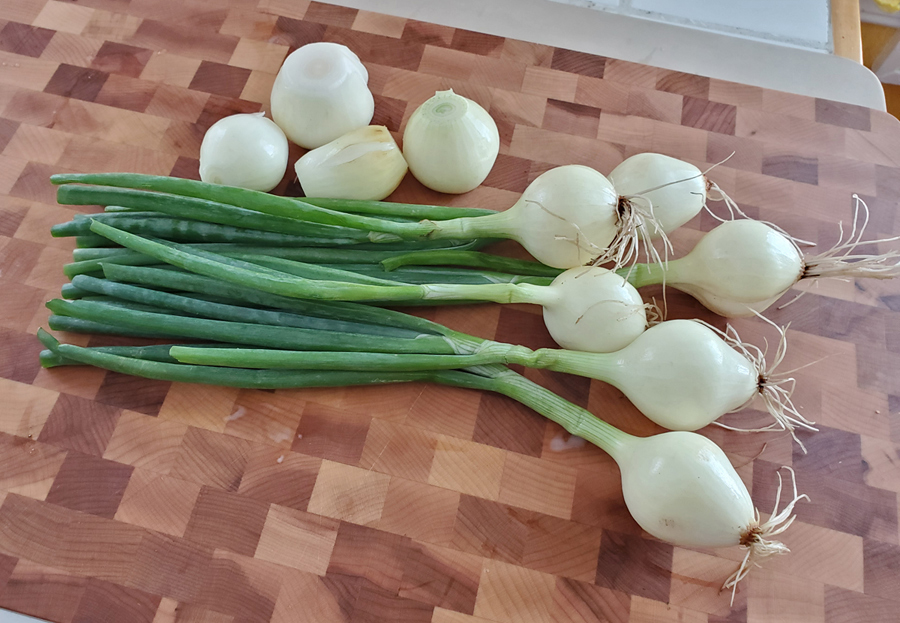 LTHForum.com - Corona cuisine / Social distancing cooking